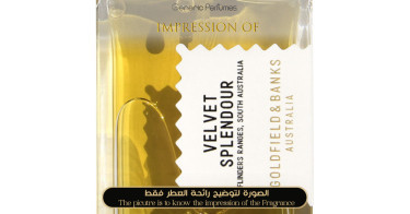 Generic Perfumes | Premium Perfume Oils – Inspired by Designer & Niche ...