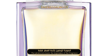 Generic Perfumes | Premium Perfume Oils – Inspired by Designer & Niche ...