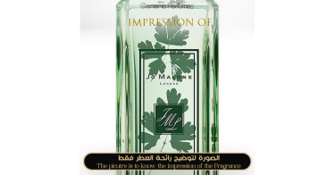 Generic Perfumes | Premium Perfume Oils – Inspired by Designer & Niche ...