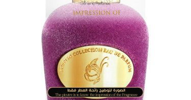 Generic Perfumes | Premium Perfume Oils – Inspired by Designer & Niche ...