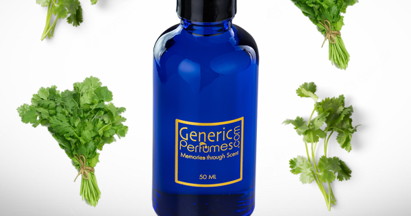 Generic Perfumes | Premium Perfume Oils – Inspired by Designer & Niche ...