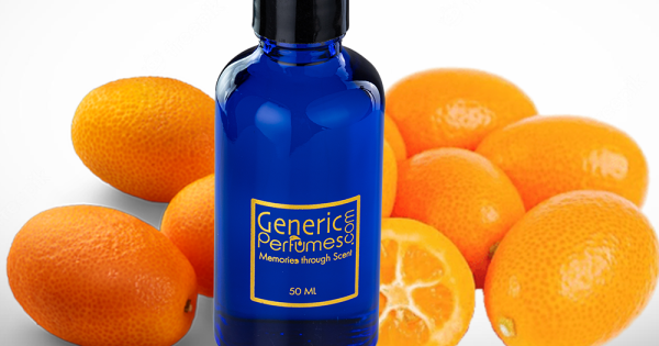 Generic Perfumes | Premium Perfume Oils – Inspired by Designer & Niche ...