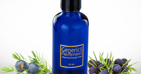 Generic Perfumes | Premium Perfume Oils – Inspired by Designer & Niche ...