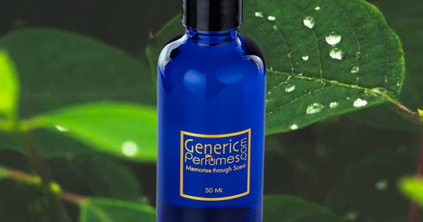 Generic Perfumes | Premium Perfume Oils – Inspired by Designer & Niche ...
