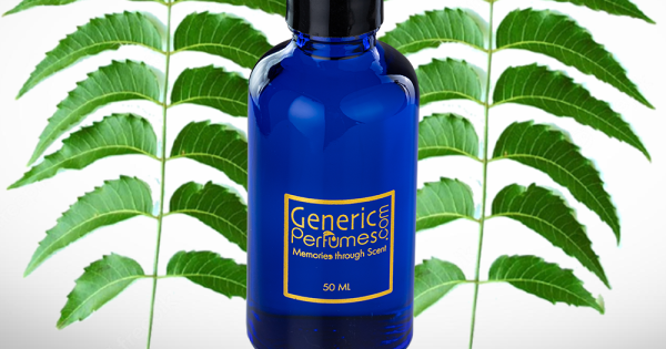 Generic Perfumes | Premium Perfume Oils – Inspired by Designer & Niche ...