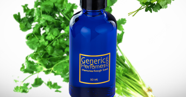 Generic Perfumes | Premium Perfume Oils – Inspired by Designer & Niche ...