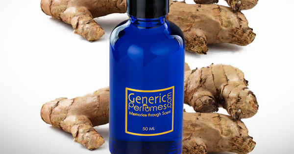 Generic Perfumes | Premium Perfume Oils – Inspired by Designer & Niche ...